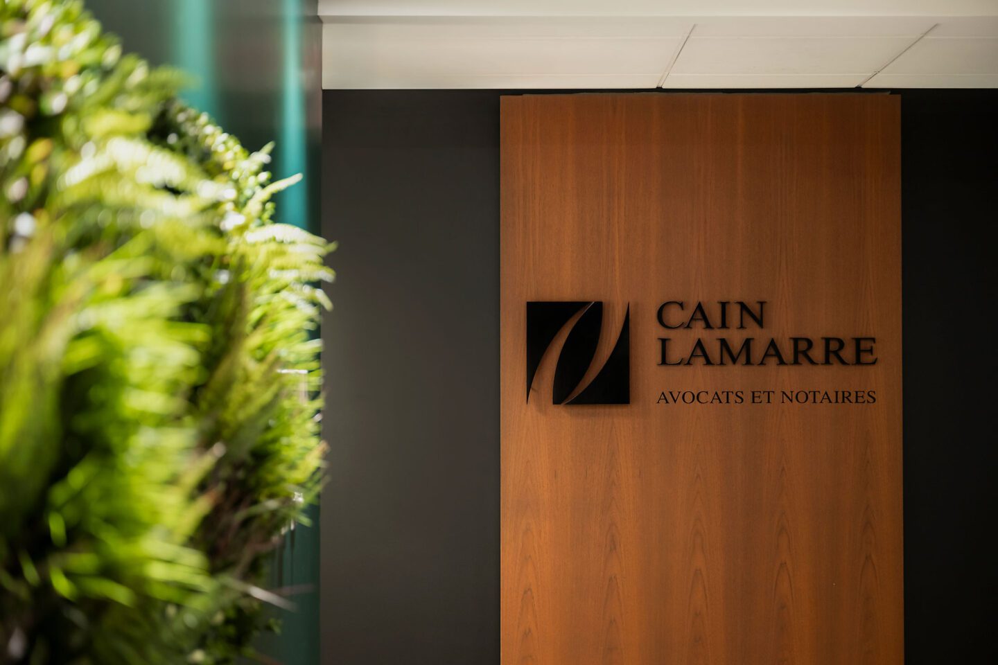 Marcel-Olivier Nadeau est élu bâtonnier du Québec | Cain Lamarre